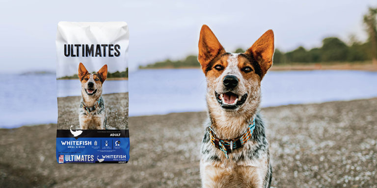 It's Here: NEW Ultimates Dog Food | Ultimates Pet Food