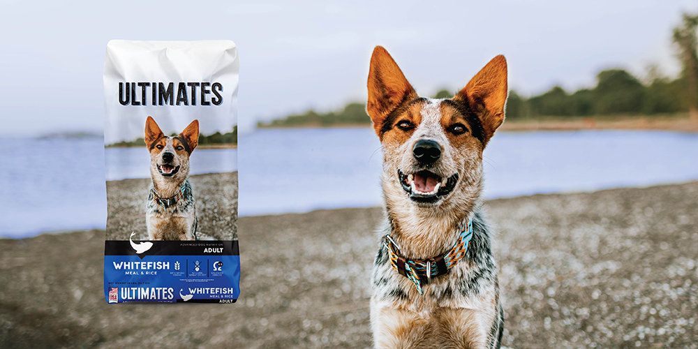 It's Here: NEW Ultimates Dog Food | Ultimates Pet Food