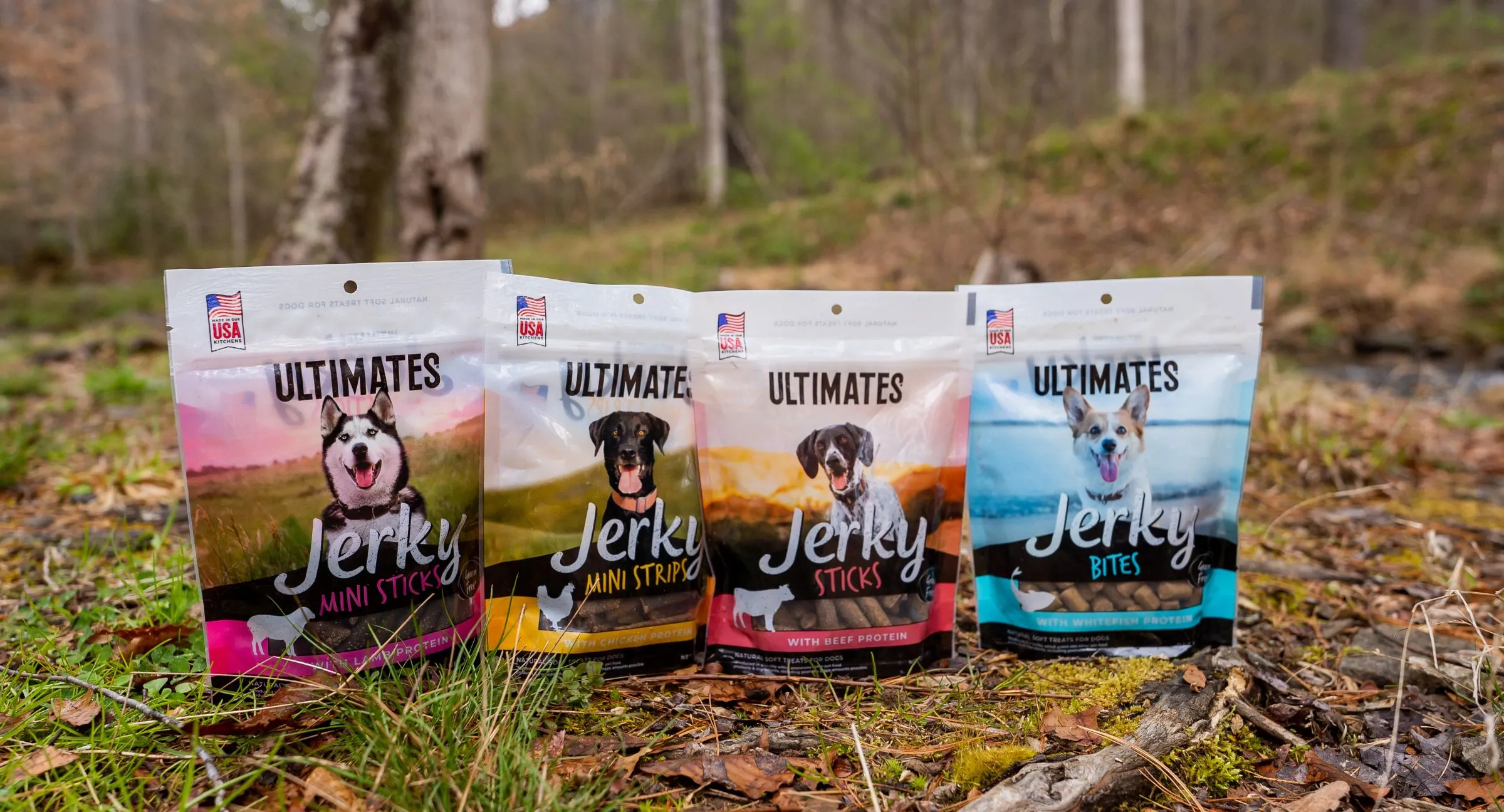 Agility Equipment for Dogs: Beginner’s Guide to Training - Ultimates ...