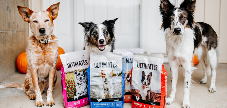 Is Flaxseed Good for Dogs? - Ultimates | Advanced Pet Nutrition Made in ...